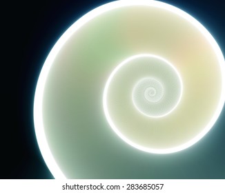 Nautilus Spiral Shell Background Abstract Vector Stock Vector (Royalty ...