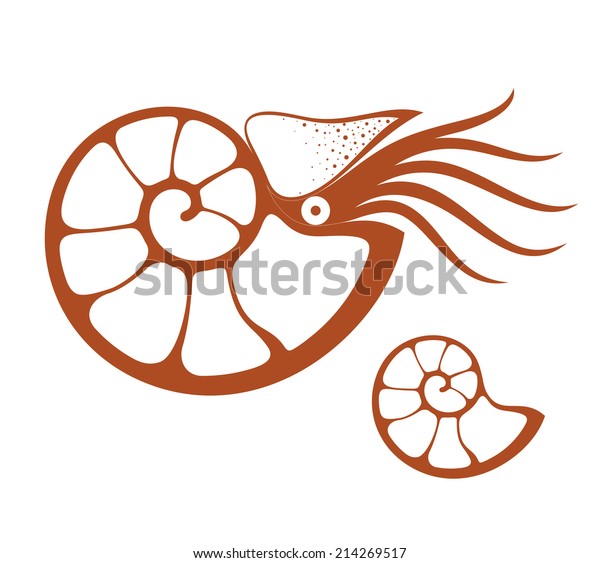 Nautilus Vector Illustration Eps 10 Stock Vector (Royalty Free) 214269517
