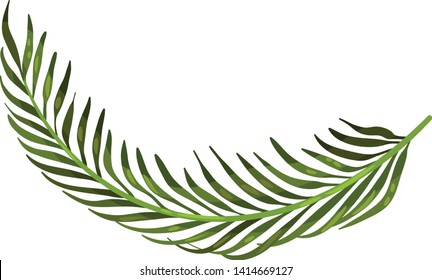 Long Leaf Vector Images, Stock Photos & Vectors | Shutterstock