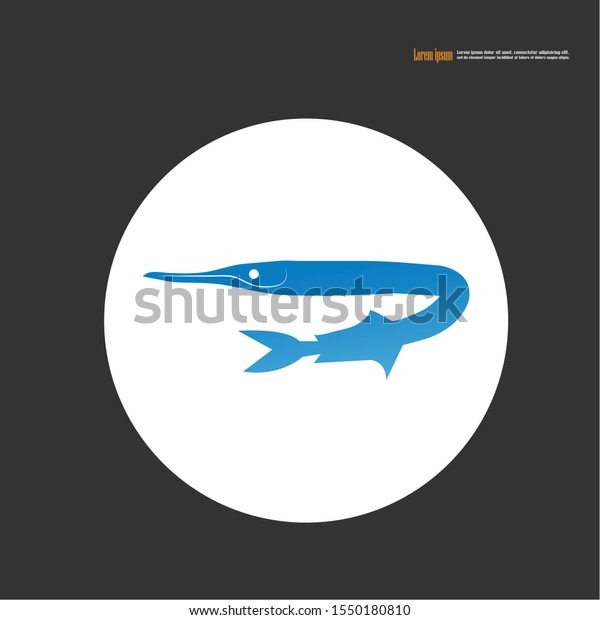 Needlefish Fish Isolated On White Backgroundvector Stock Vector ...