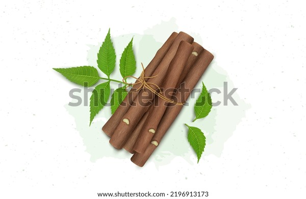 Neem Chase Stick with neem 나뭇잎들 스톡 벡터(로열티 프리) 2196913173 | Shutterstock