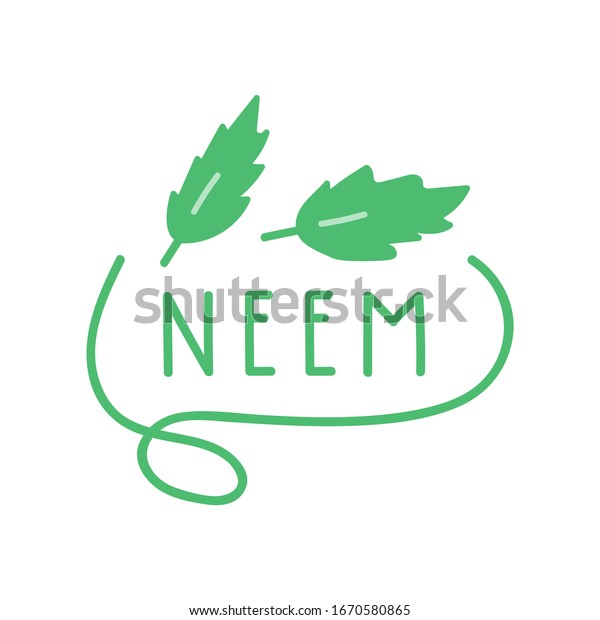 Neem Vector Hand Drawn Badge Illustration Stock Vector (Royalty Free ...