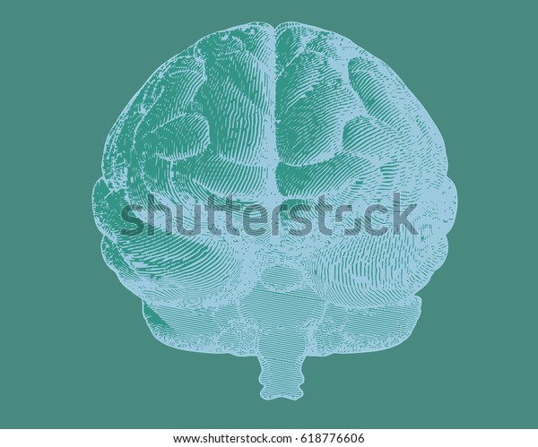 Negative Engraving Brain Illustration Front View Stock Vector (Royalty ...
