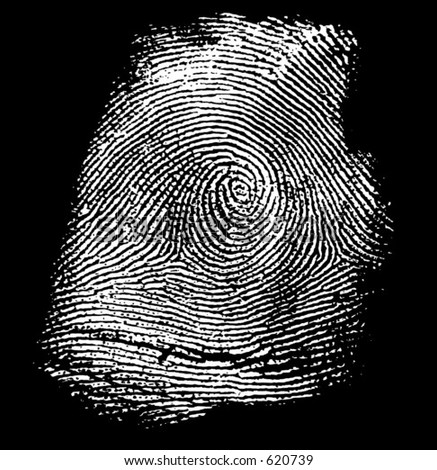 Negative Vector Fingerprint The Fingerprint Transparent Stock Vector ...