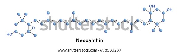 Neoxanthin Carotenoid Xanthophyll Plants Intermediate Biosynthesis ...