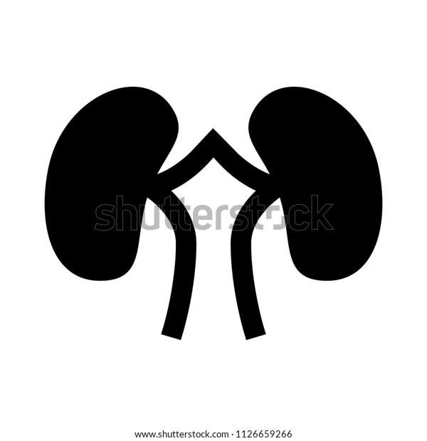 Nephrology Sign Vector Kidney Illustration Isolated Stock Vector ...