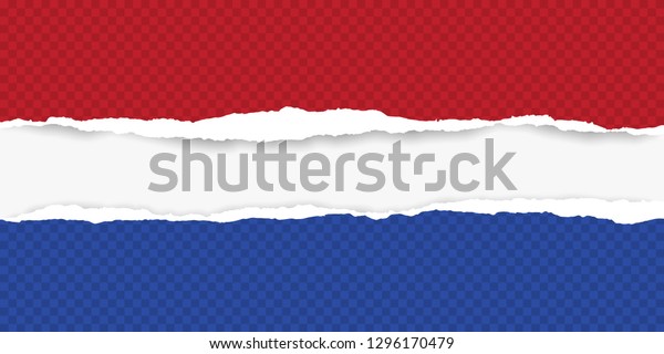 Netherlands Flag Created Ripped Paper Strips Stock Vector (Royalty Free ...