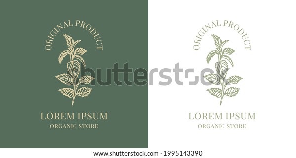 Nettle Plant Logo Vector Illustration Medical Stock Vector (Royalty ...