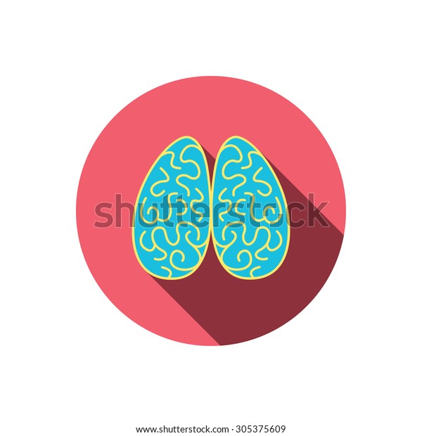 Neurology Icon Human Brain Sign Red Stock Vector (Royalty Free ...
