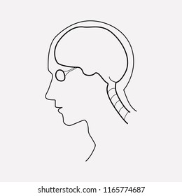 Neurology Icon Line Element Vector Illustration Stock Vector (Royalty ...