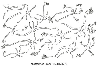 96 Neurocyte Images, Stock Photos & Vectors | Shutterstock