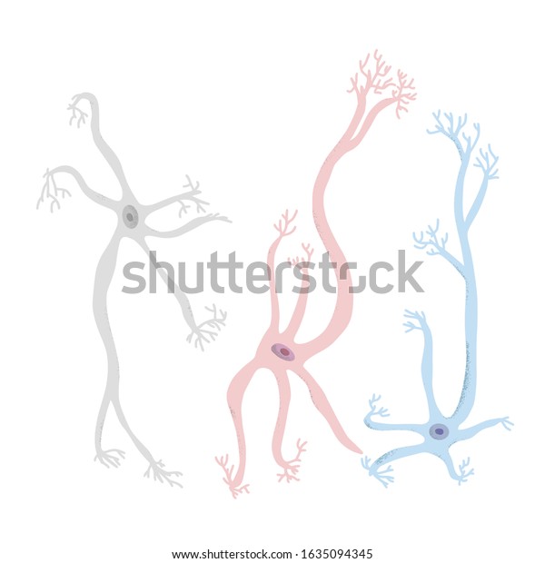 Neuron Cells Set Collection Brain Neurocyte Stock Vector (Royalty Free ...