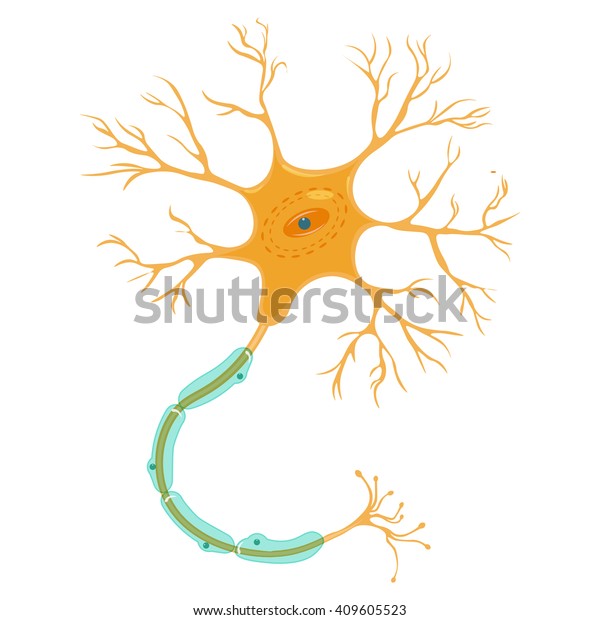 Vector de stock (libre de regalías) sobre Ilustración vectorial de ...