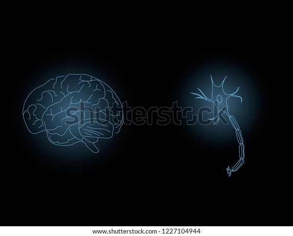 Neuroscience Human Brain Vector Brain Cell Stock Vector (Royalty Free ...
