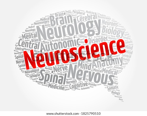 Neuroscience Word Cloud Collage Concept Background Stock Vector ...