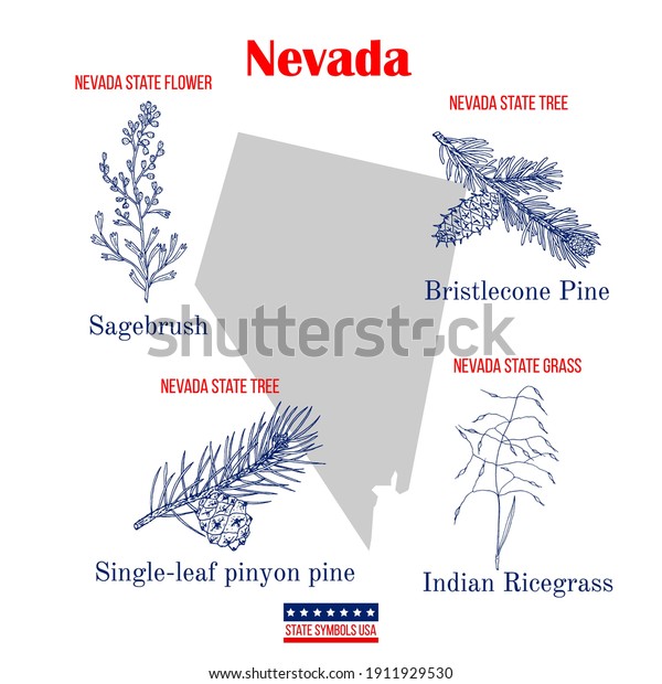 Nevada Set Usa Official State Symbols Stock Vector (Royalty Free ...