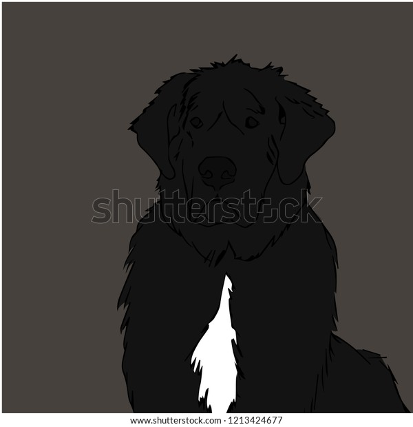 Newfoundland Dog Vector Illustration Drawing Stock Vector (Royalty Free ...
