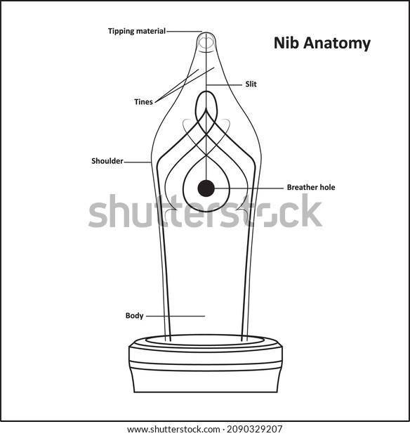 Nib Anatomy Nib Outline Design Stock Vector (Royalty Free) 2090329207 ...