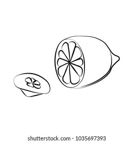 Continuous One Line Drawing Lemon Lime Stock Vector (Royalty Free ...