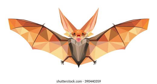 172 Bat carcasses Images, Stock Photos & Vectors | Shutterstock