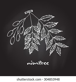 925 Neem leaves vector Images, Stock Photos & Vectors | Shutterstock