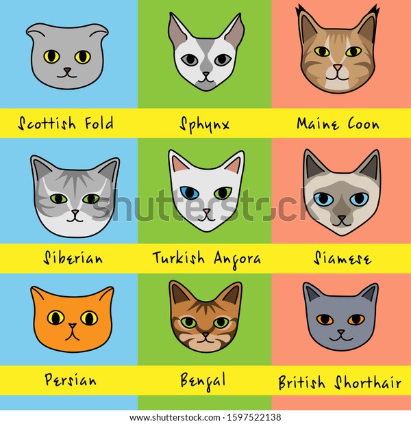 Nine Cat Breeds Cute Cartoon Style Stock Vector (Royalty Free ...