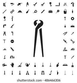 Nippers Icon Illustration Isolated Vector Sign Stock Vector (Royalty ...