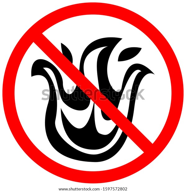No Flame Sign Fire Crossed Out Stock Vector (Royalty Free) 1597572802 ...