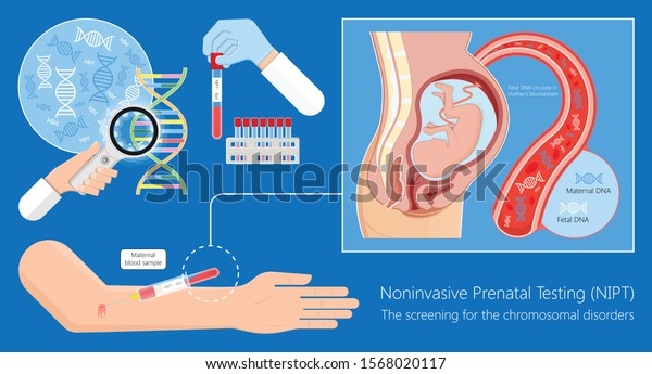 Noninvasive prenatal testing NIPT screening genetic disorders ...