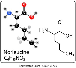Norleucine Molecule Structure Stock Vector (Royalty Free) 1362451796 ...