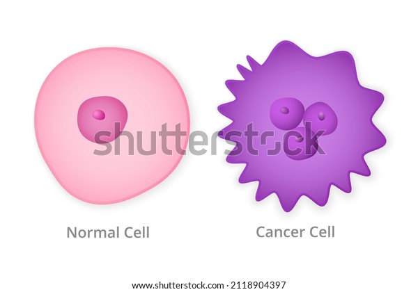 Normal Cancer Cell Healthy Pink Natural Stock Vector (Royalty Free ...