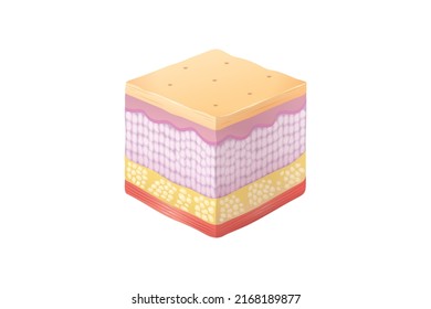 38,679 Normal Human Images, Stock Photos & Vectors | Shutterstock