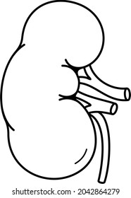 Normal Kidney Vector Outline Icon Stock Vector (Royalty Free ...