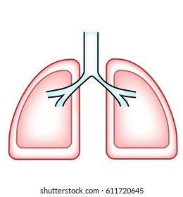 Normal Lung Human Respiratory System Isolated Stock Vector (Royalty ...