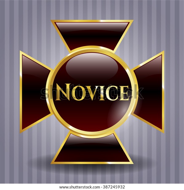 Novice Shiny Badge Stock Vector (Royalty Free) 387245932 | Shutterstock