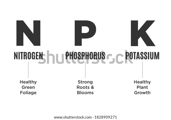 Npk Garden Fertilizer Chart Nitrogen Phosphorous Stock Vector (Royalty ...