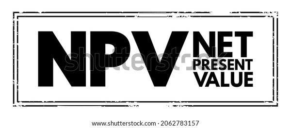Npv Net Present Value Acronym Business Stock Vector (Royalty Free ...