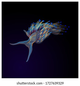 Nudibranch On Dark Background Vector Illustration Stock Vector (Royalty ...