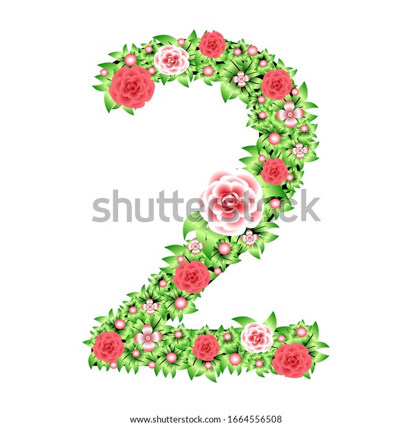 Number 2 Roses Leaves On White Stock Vector (Royalty Free) 1664556508 ...