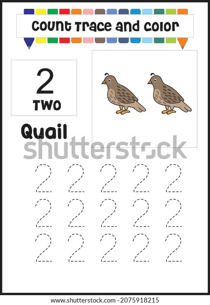 Number Trace Color Quail Count Quail Stock Vector (Royalty Free ...