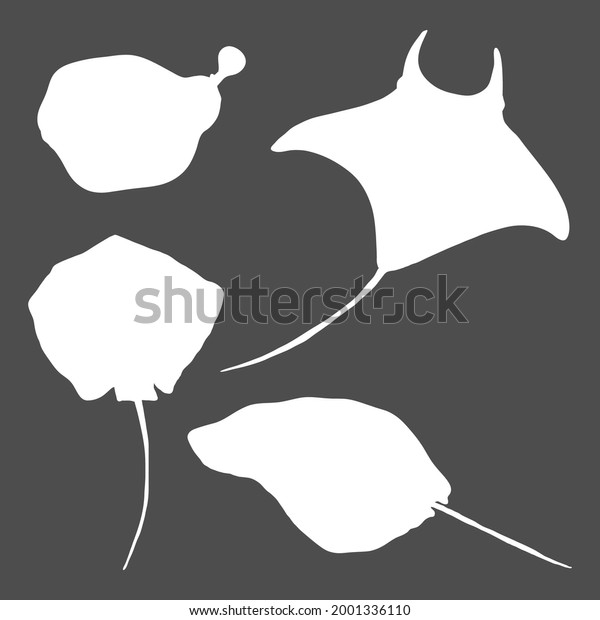 Numbfishes White Silhouette Set Vector Collection Stock Vector (Royalty ...