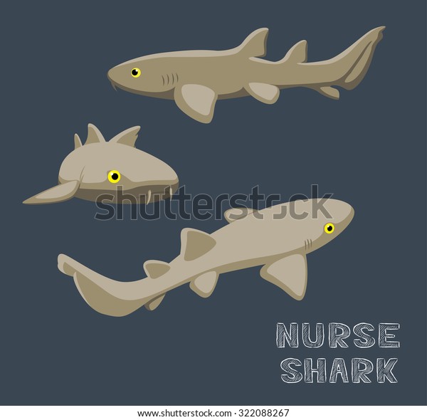 Cartoon nurse shark: 24 billeder, stock-fotos og -vektorer | Shutterstock