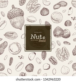 Nut Seed Collection Hand Draw Sketch Stock Vector (Royalty Free ...