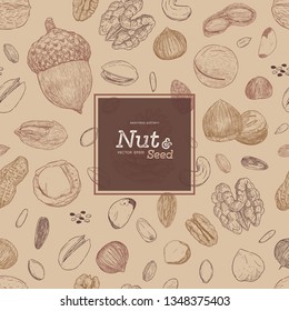 Nut Seed Collection Hand Draw Sketch Stock Vector (Royalty Free ...