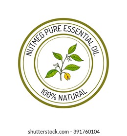 Nutmeg Essential Oil Label Aromatic Plant Stock Vector (Royalty Free ...