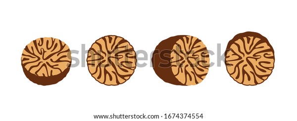 Nutmeg Logo Isolated Nutmeg On White Stock Vector (Royalty Free ...