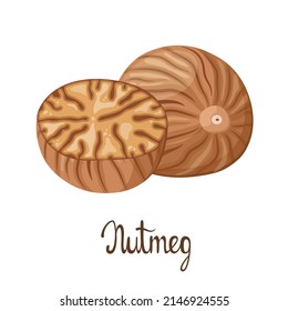1,025 Nutmeg cartoon Images, Stock Photos & Vectors | Shutterstock