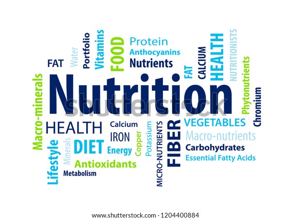 Nutrition Word Cloud Stock Vector (Royalty Free) 1204400884 | Shutterstock