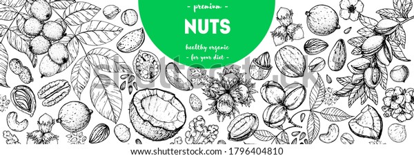 Nuts Collection Hand Drawn Sketch Vector Stock Vector (Royalty Free ...