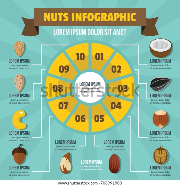 Nuts Infographic Banner Concept Flat Illustration Stock Vector (Royalty ...